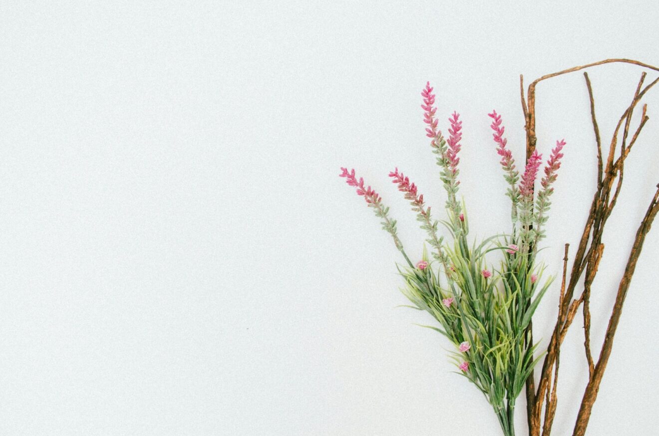 KOVANZAME Twenty Twenty-Four Childをリリースしました | KOGMA WORK